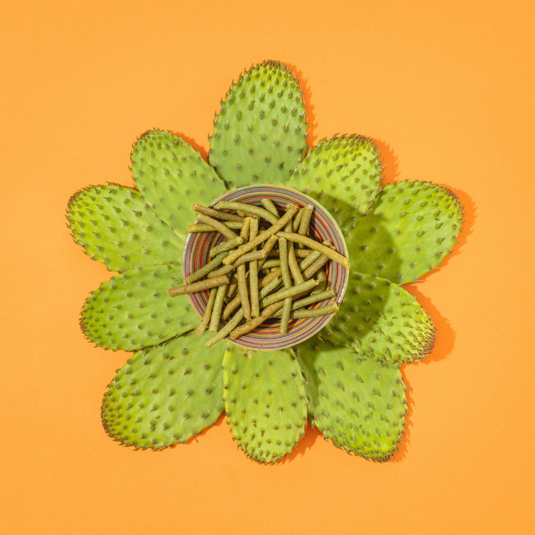 Mexican Lime (6-pack) – Nemi Snacks